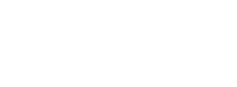 What is the 229 Project?